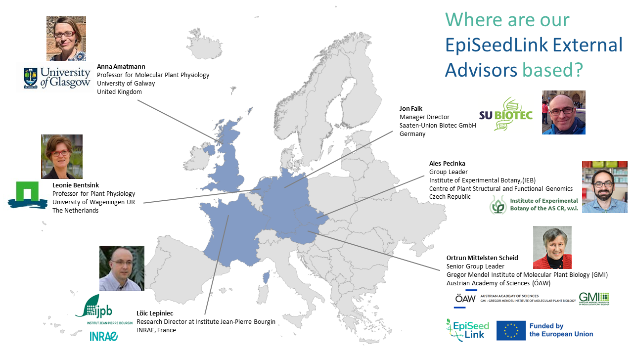 Introducing our External advisory Board – EpiSeedLink